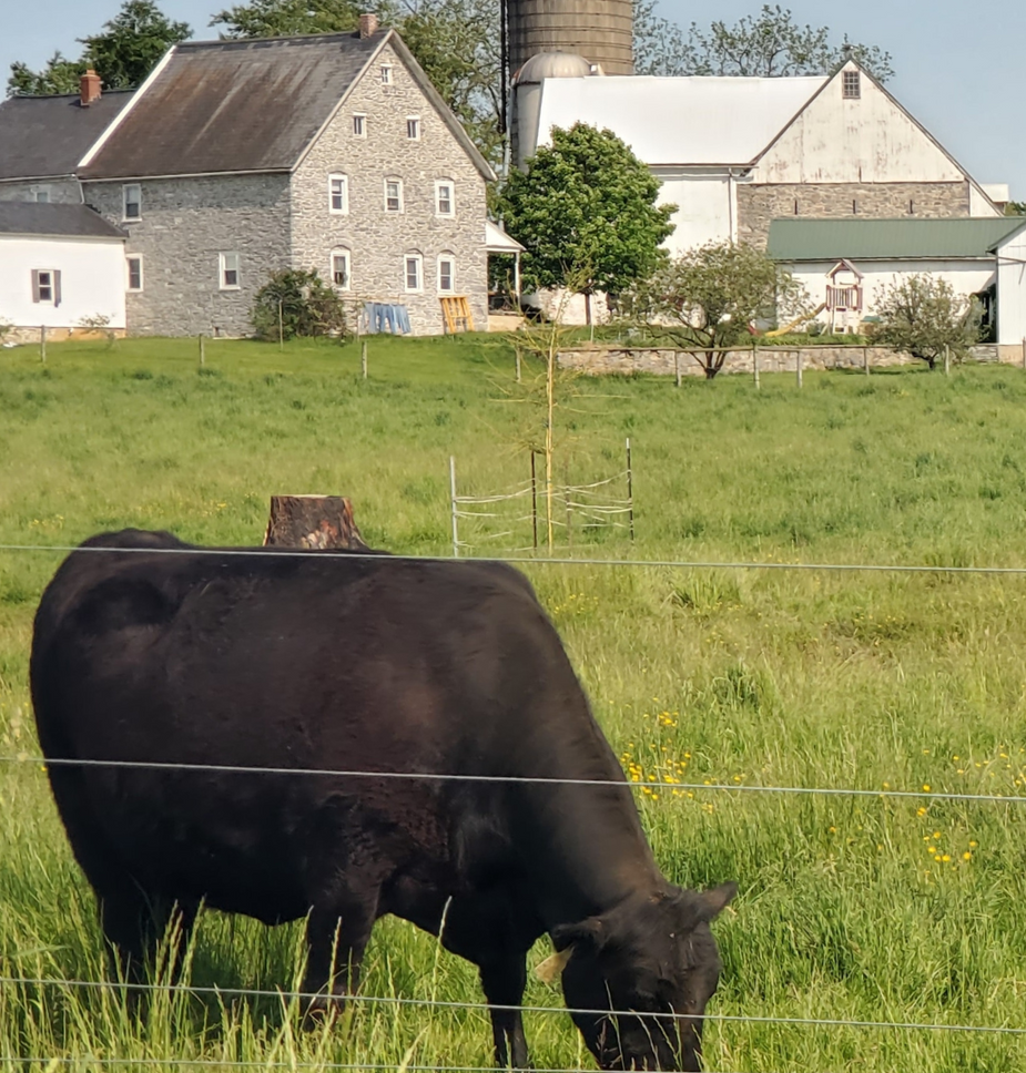 About Us | Long Farm Meats in Lancaster, PA