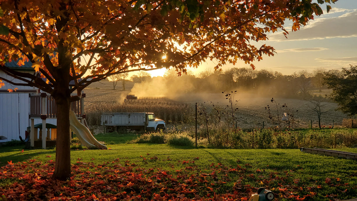 Journal | Long Farm Meats